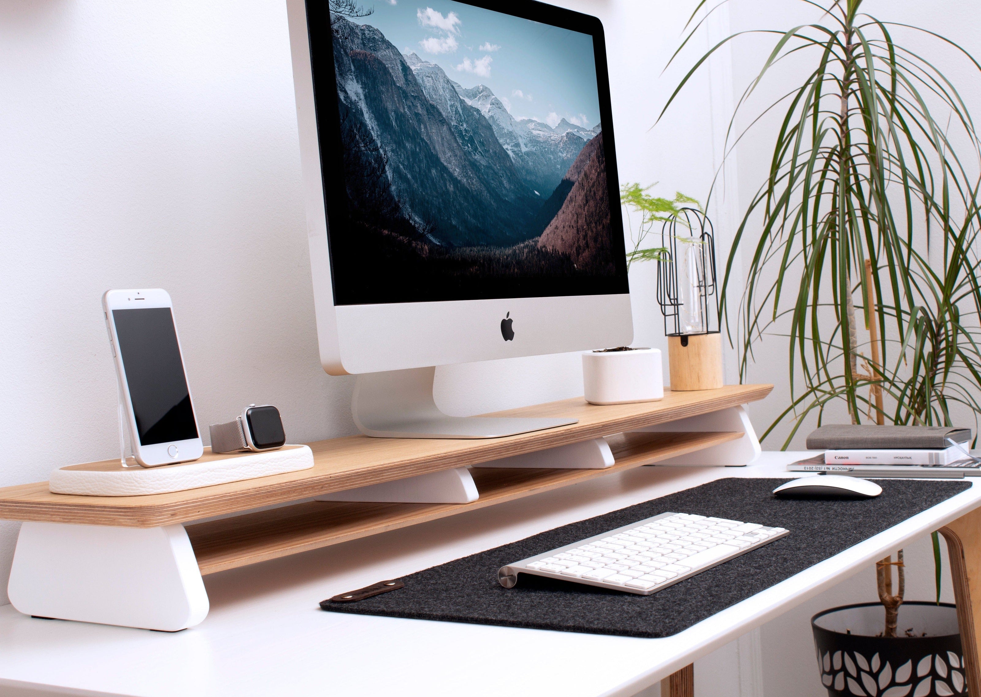 Monitor stand with shelf